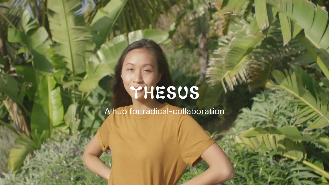 Thesus™ Portal – Thesus™ Outdoors